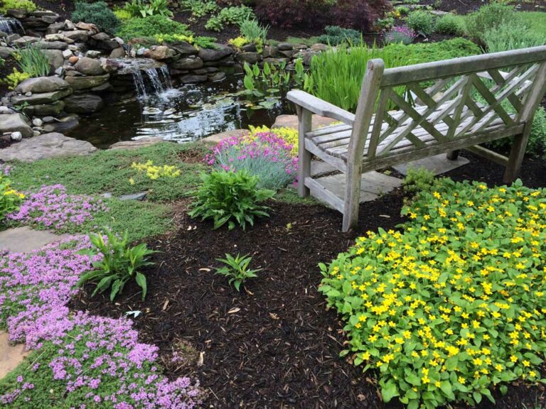 Transforming a Hillside into Pond and Waterfall - Claire Jones Landscapes