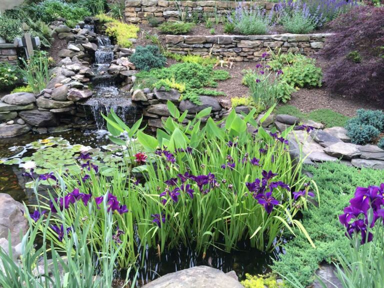 Transforming a Hillside into Pond and Waterfall - Claire Jones Landscapes