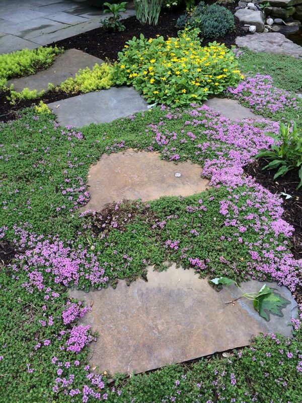 Transforming a Hillside into Pond and Waterfall - Claire Jones Landscapes