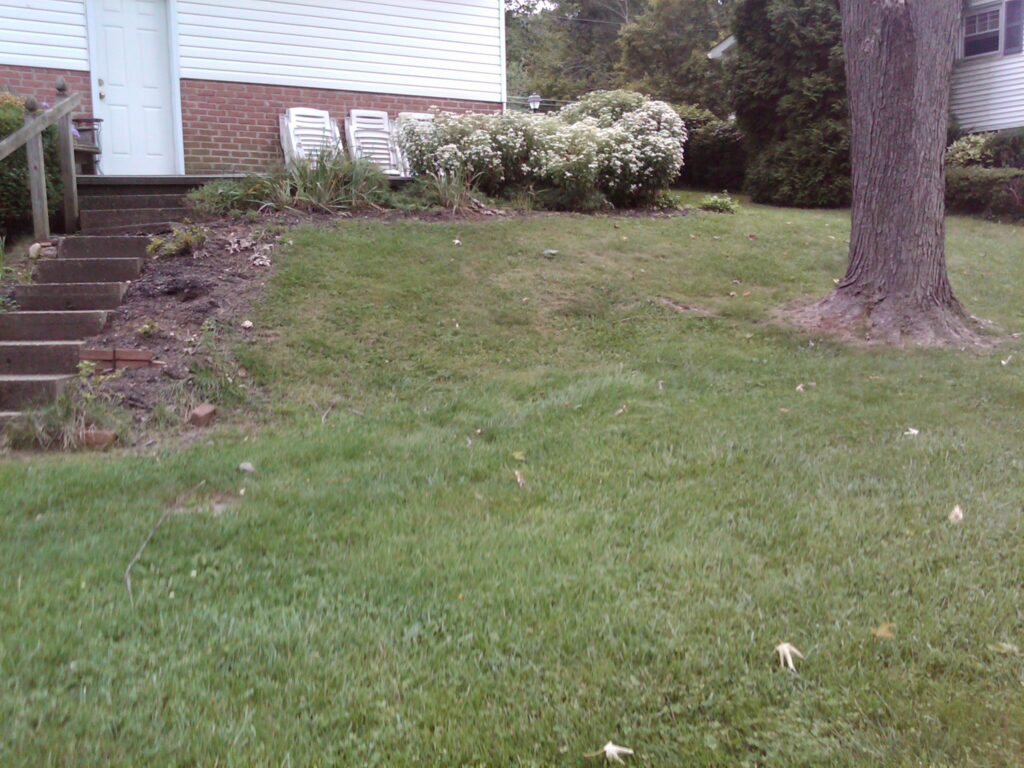 Transforming a Hillside into Pond and Waterfall - Claire Jones Landscapes