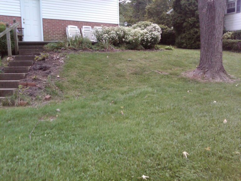 Transforming a Hillside into Pond and Waterfall - Claire Jones Landscapes